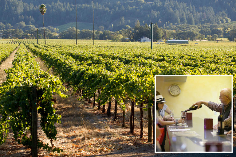Famed Napa Valley vineyards face doomsday reckoning as mammoth ...