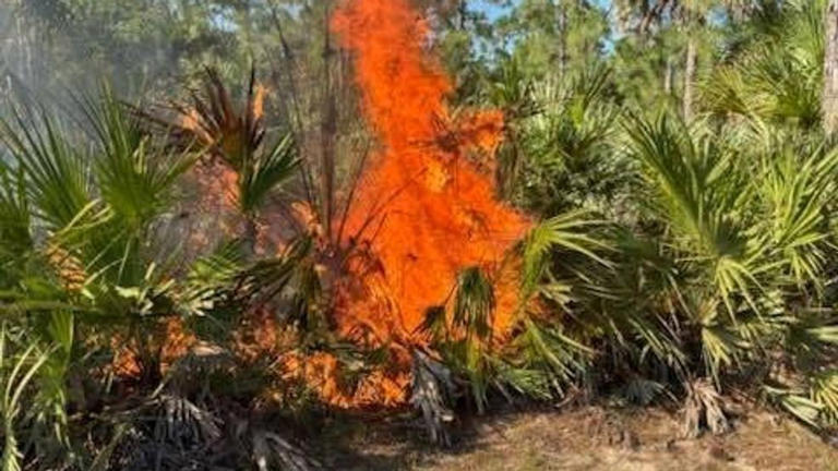 Martin County Fire Rescue extinguishes nearly 40-acre brush fire in ...