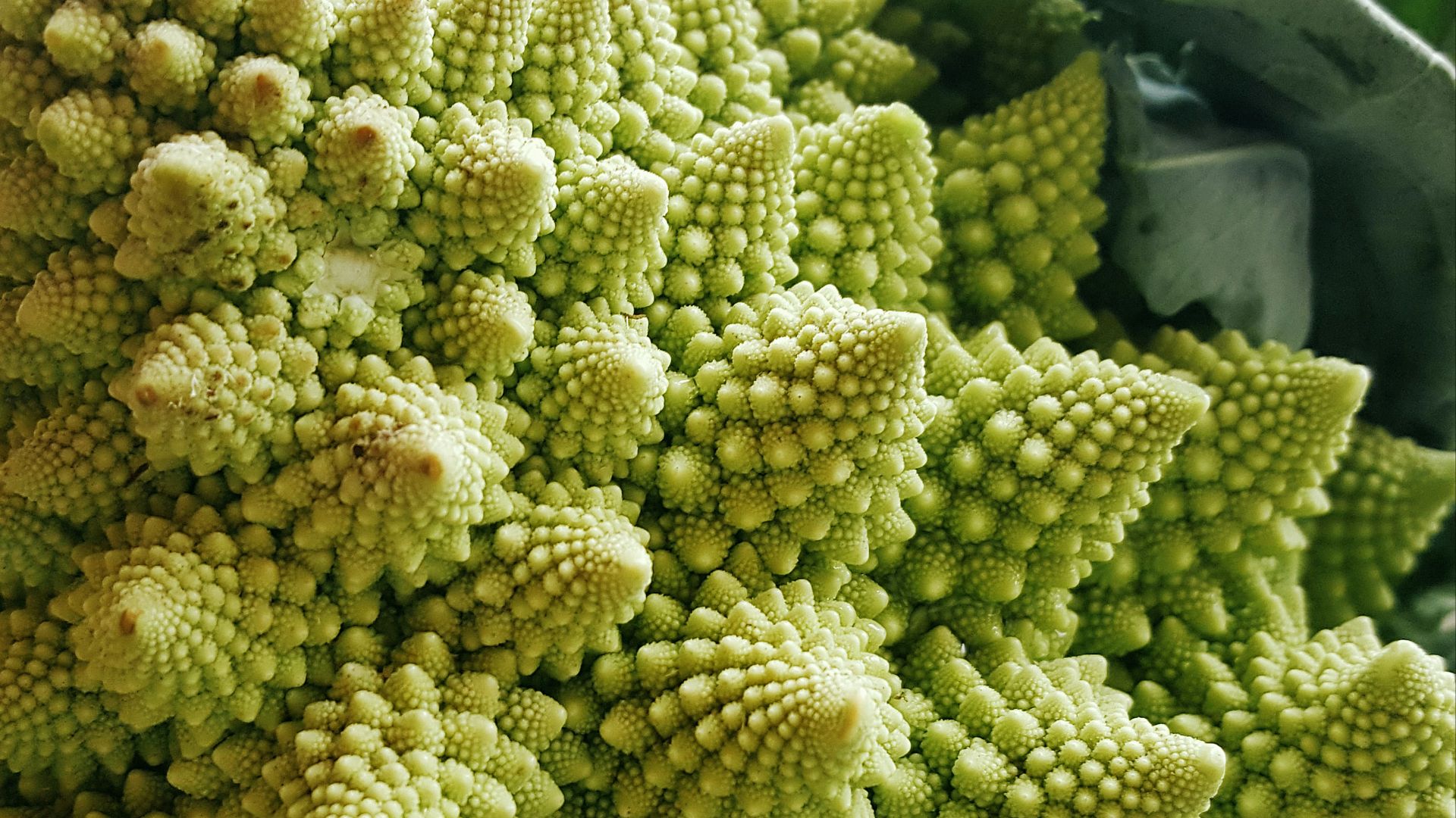 10 uncommon vegetables Americans should add to their diet & 10 common ...