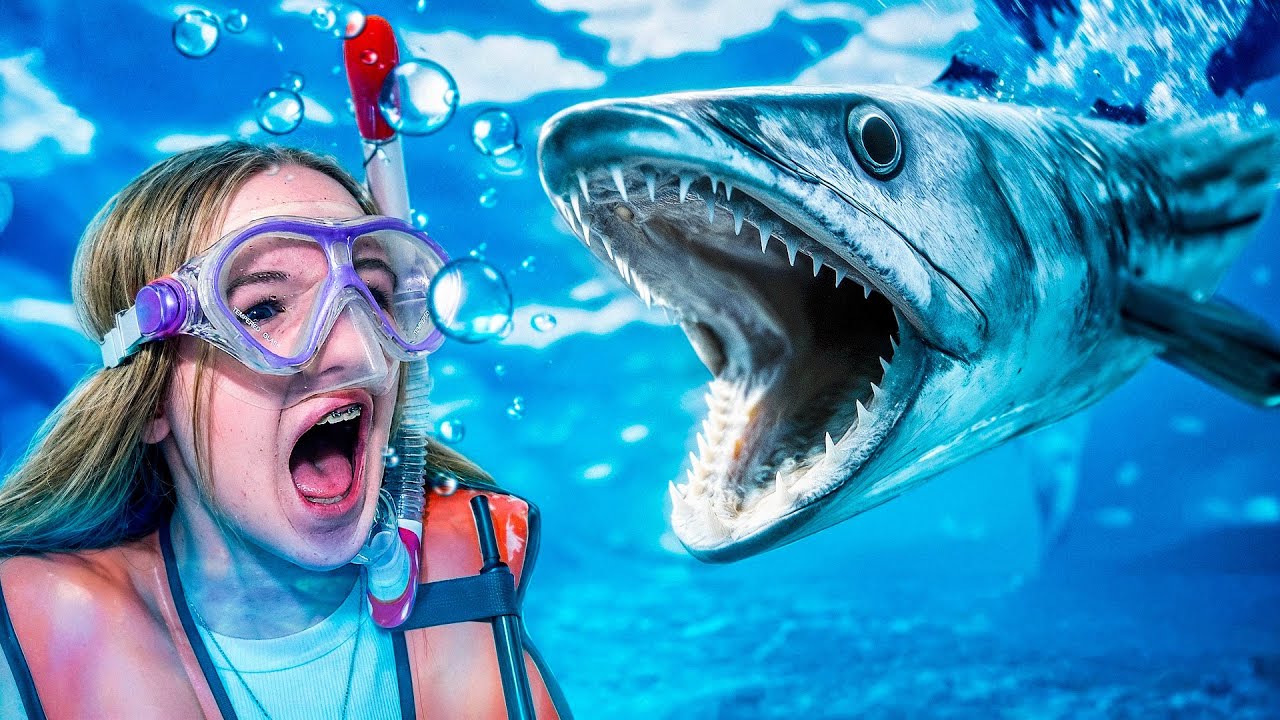 Swimming with a barracuda! OMG! So scary!