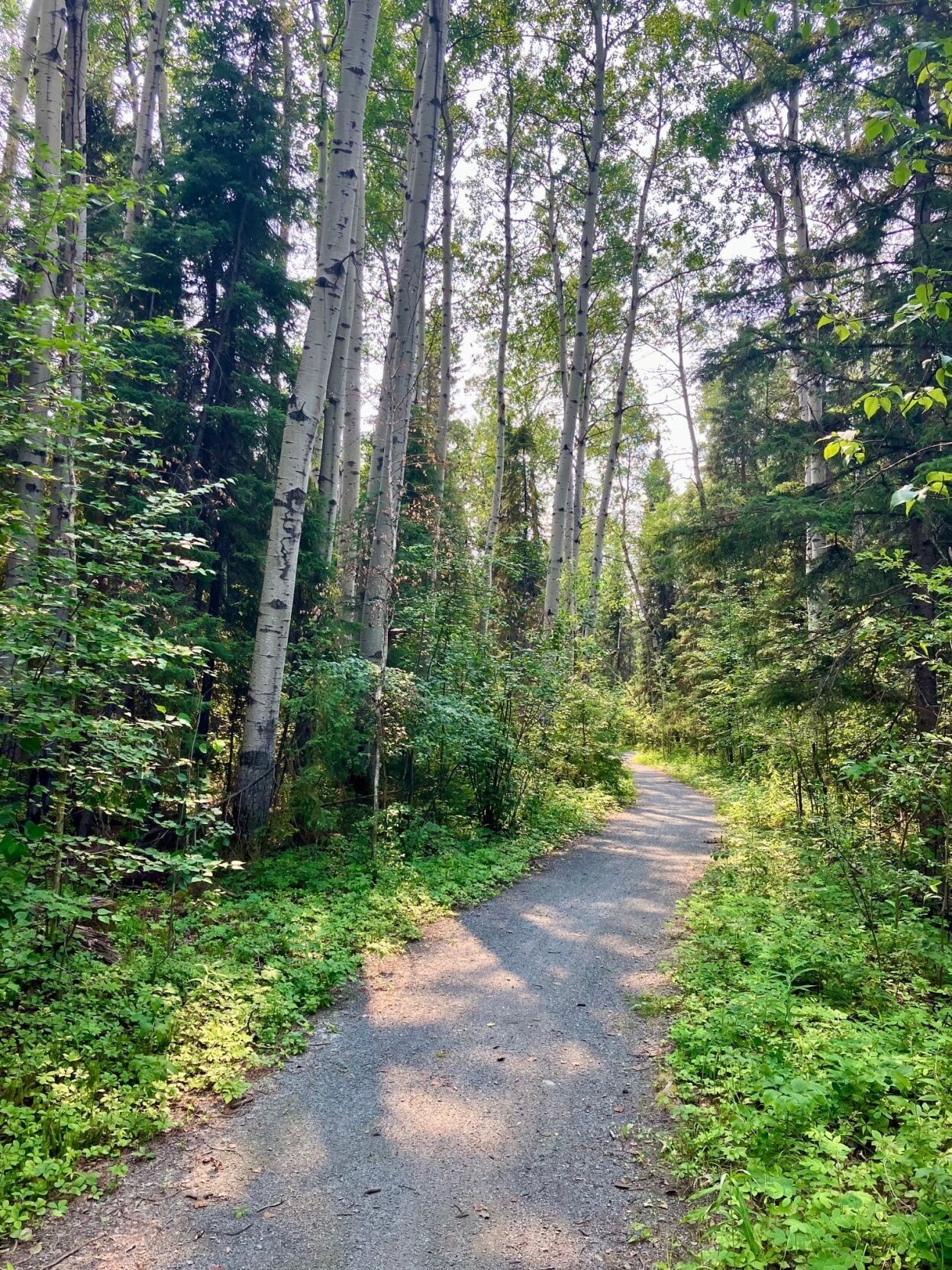 Manitoba invests more than $200,000 in trail improvements