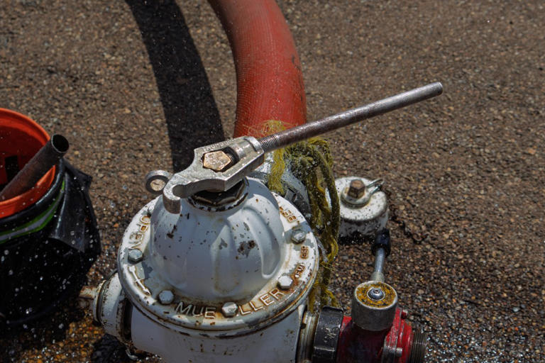 JFD addresses concerns over painted fire hydrants