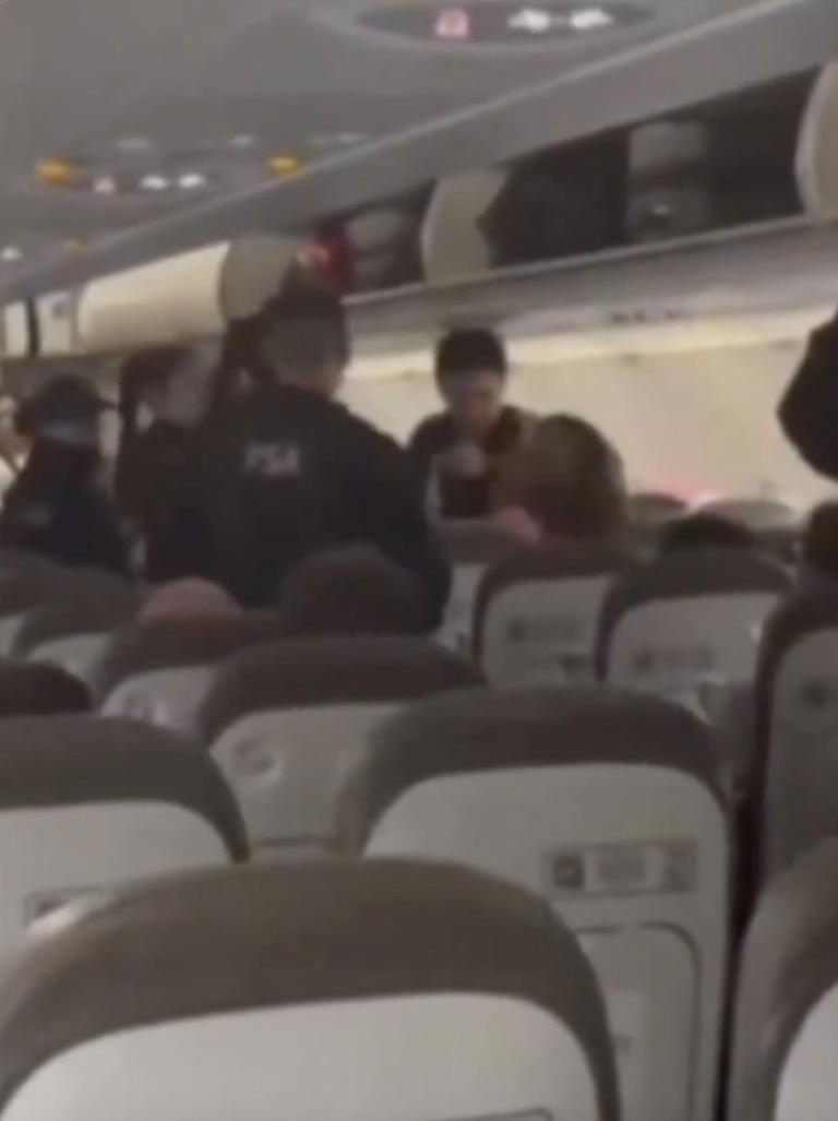 Passenger bites cop after sneaking on plane without paying for excess ...
