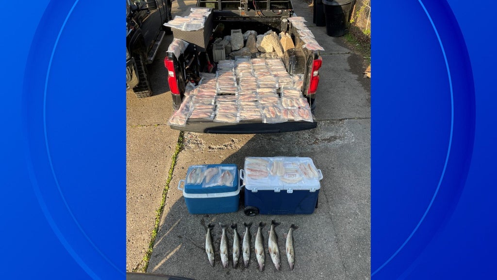 Michigan DNR reports multiple cases of Detroit River anglers going over ...