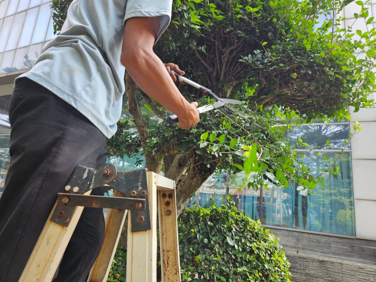 Experts predict a super El Nino summer—how to prepare your home now