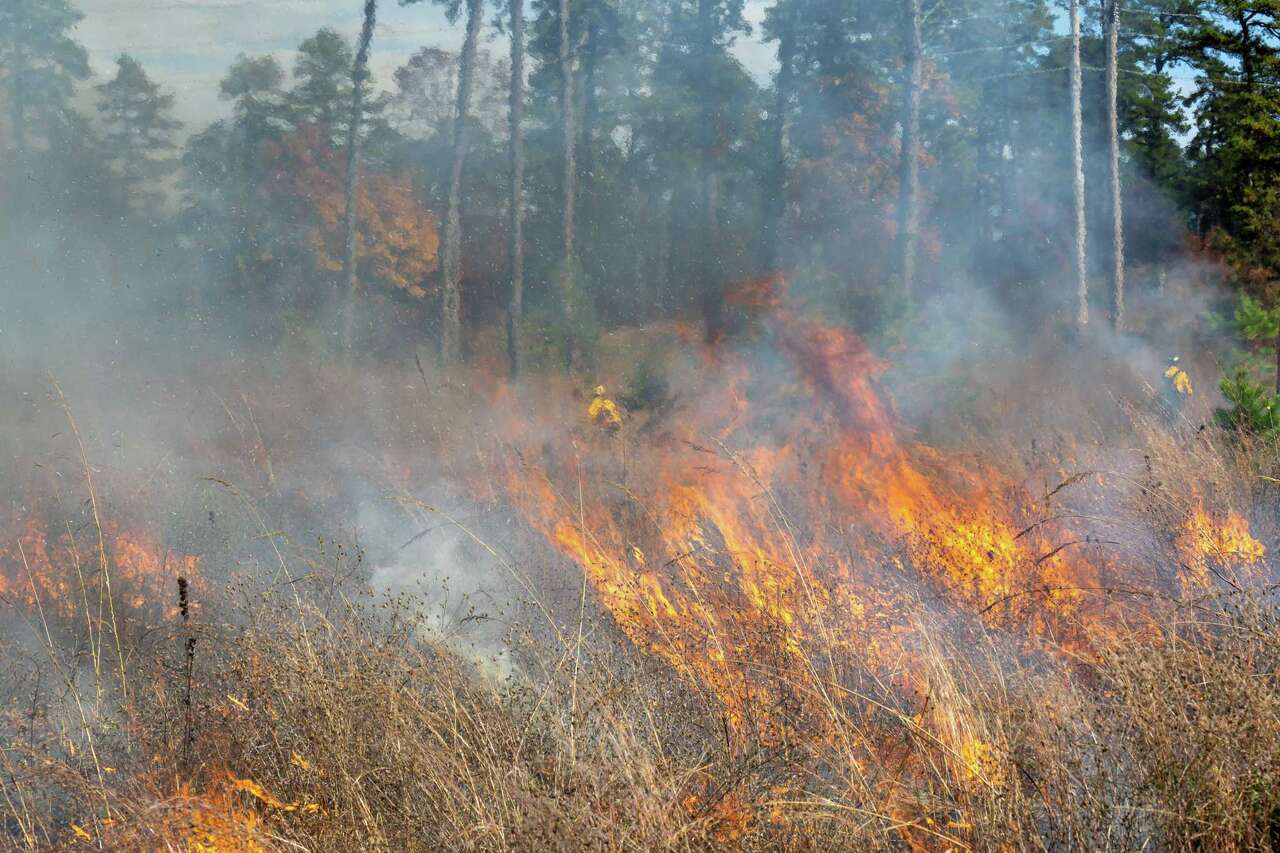Smoky smell in Colonie is controlled burn at Pine Bush Preserve