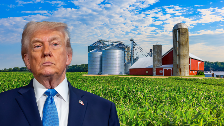 Trump floats idea of potential bailout for farmers in Wisconsin visit