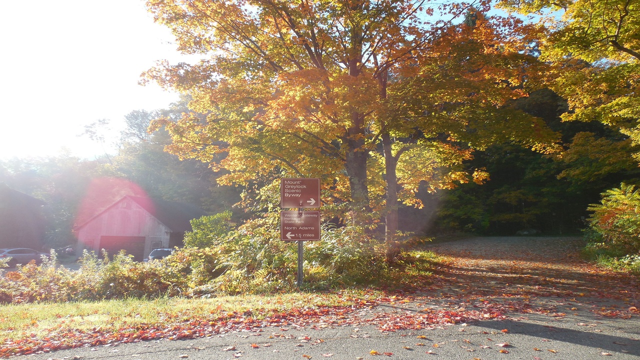 You can drive to the top of Massachusetts and see five states from up there
