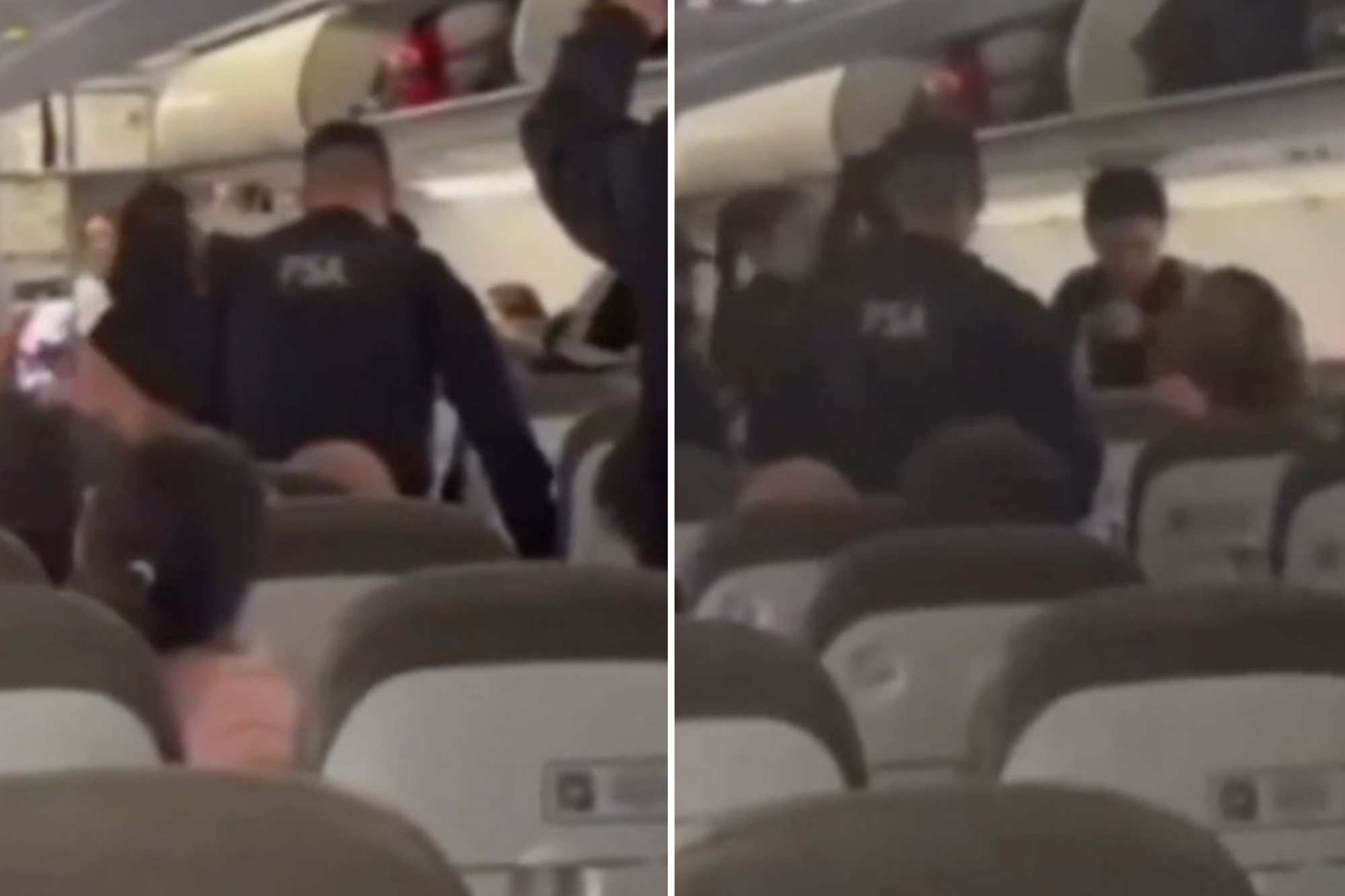 Passenger bites cop after sneaking on plane without paying for excess ...