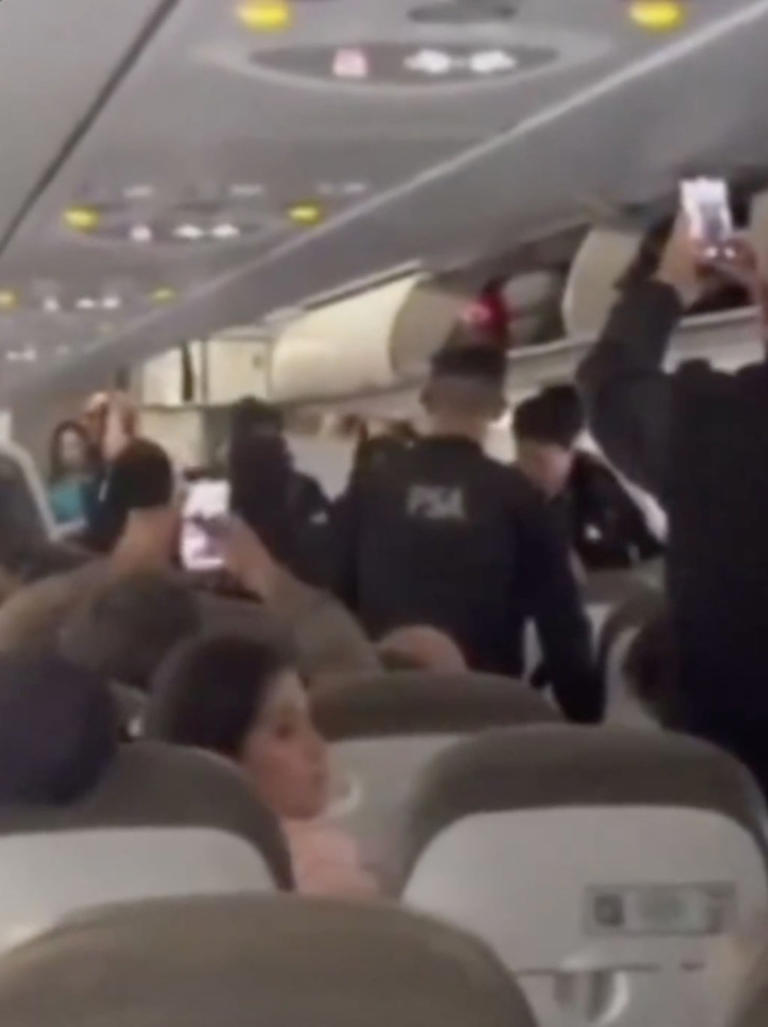 Passenger bites cop after sneaking on plane without paying for excess ...