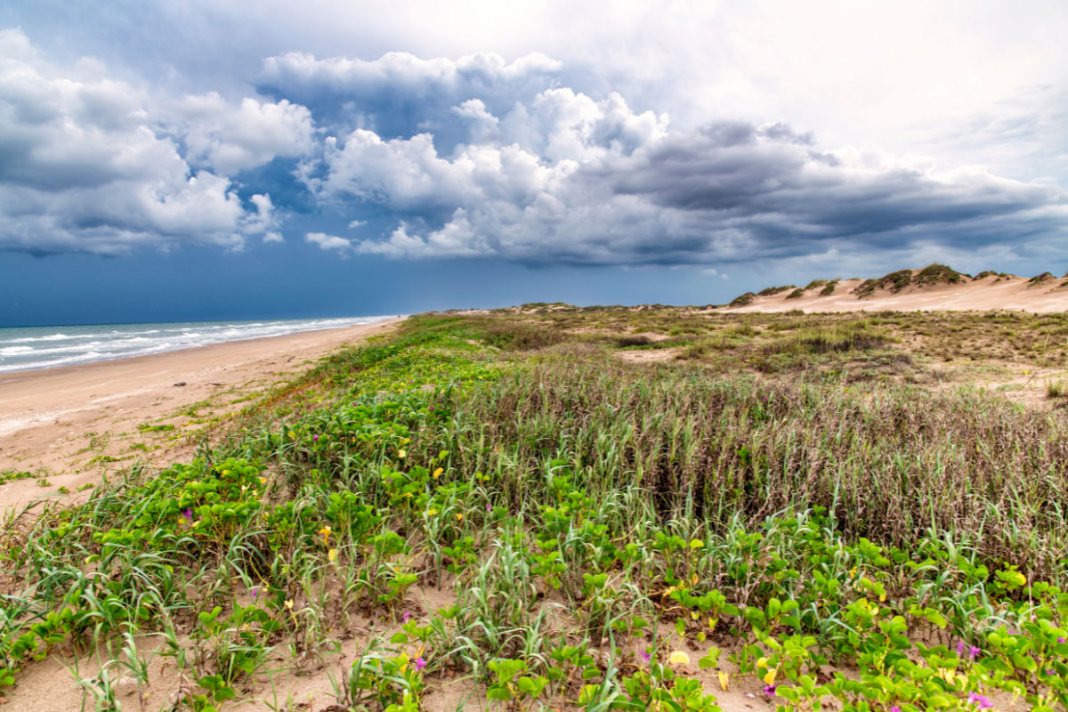 Texas has a coastline that will completely surprise you — and most ...