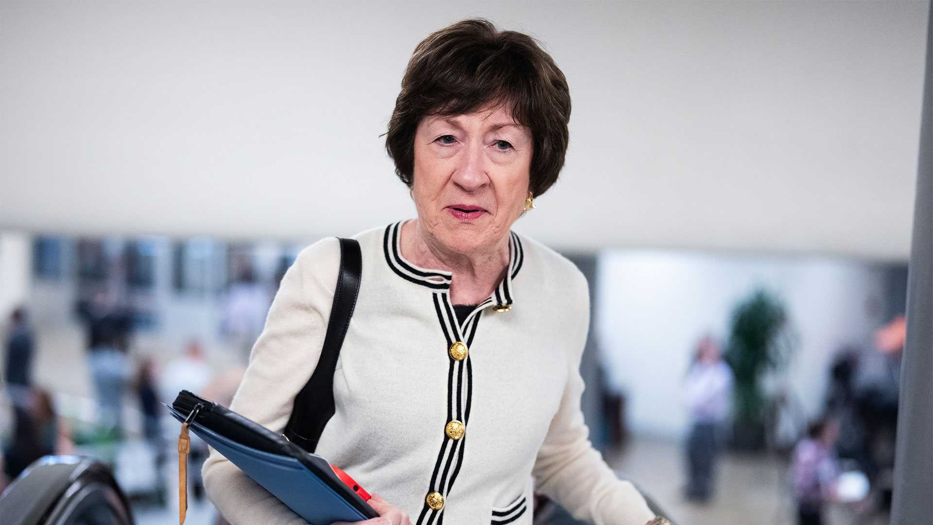 Collins calls latest allegations against Platner 'troubling'