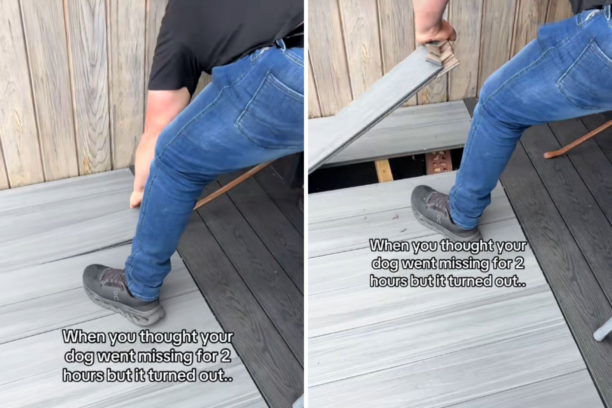 Family Thinks Dog Is Missing, Hours Later Check One Unexpected Spot