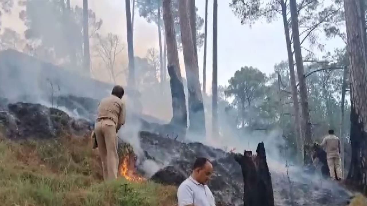 Massive fire erupts in Rajouri's Bindi forest; response underway