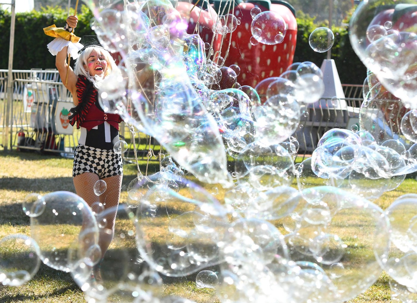 Solano County Fair returns with 'Stars, Stripes, and Carnival Lights'