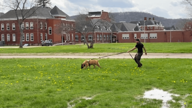 Meet the new Ludlow Police K9 team: Officer Da Costa & Striker