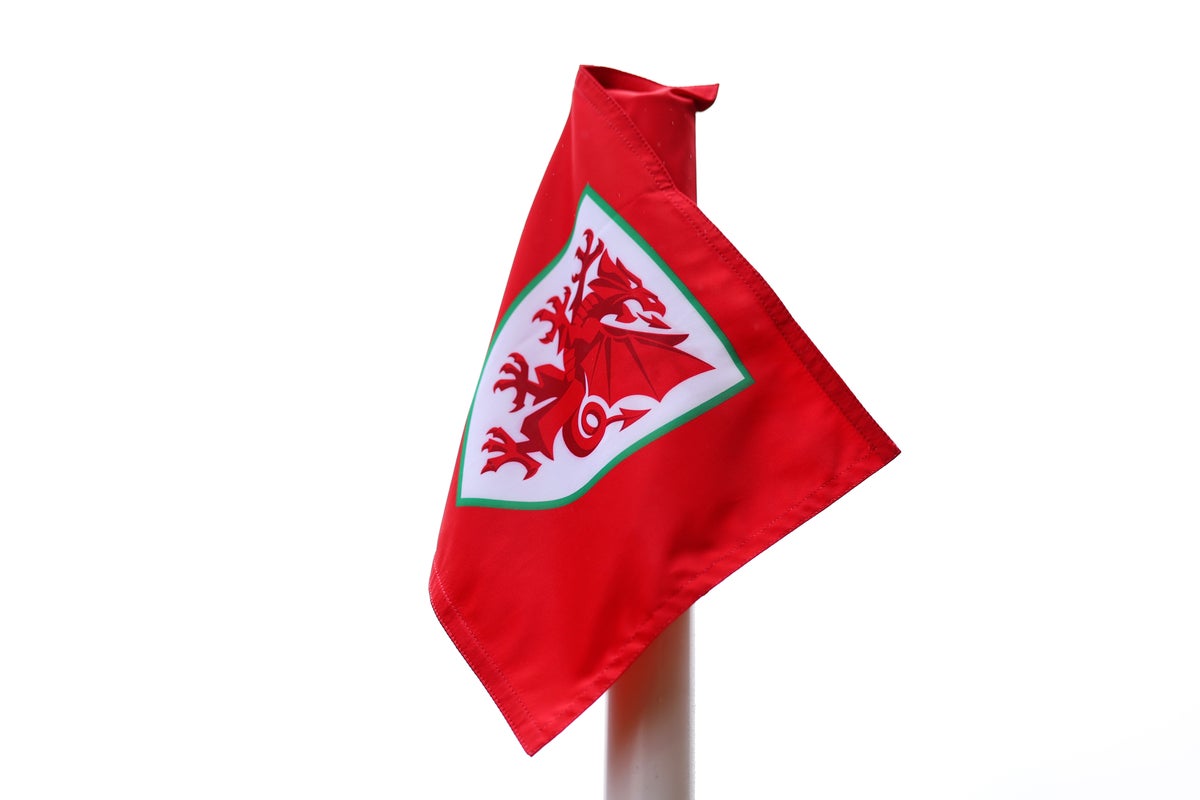 Wales miss chance to go top of qualifying group with Montenegro draw