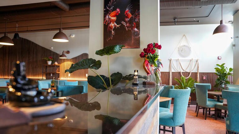 New gastrobar set to open in Ybor City in July