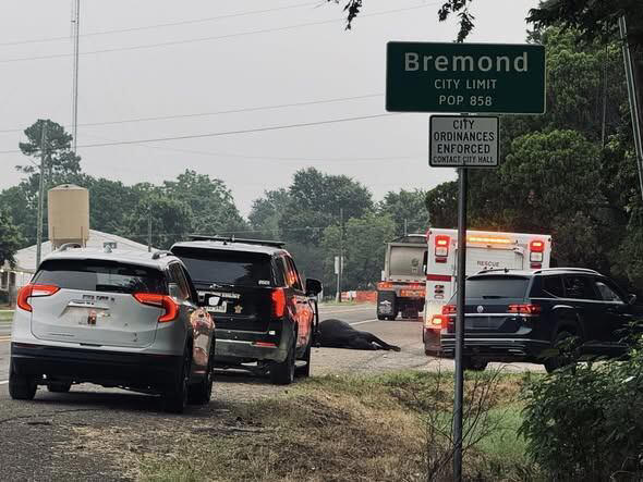 Texas town becomes a cattle drive after 18-wheeler hits runaway herd