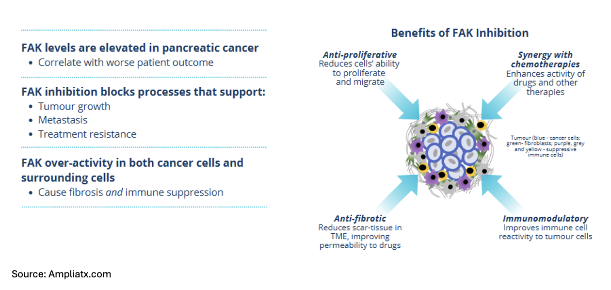 INNMF advancing cancer treatments