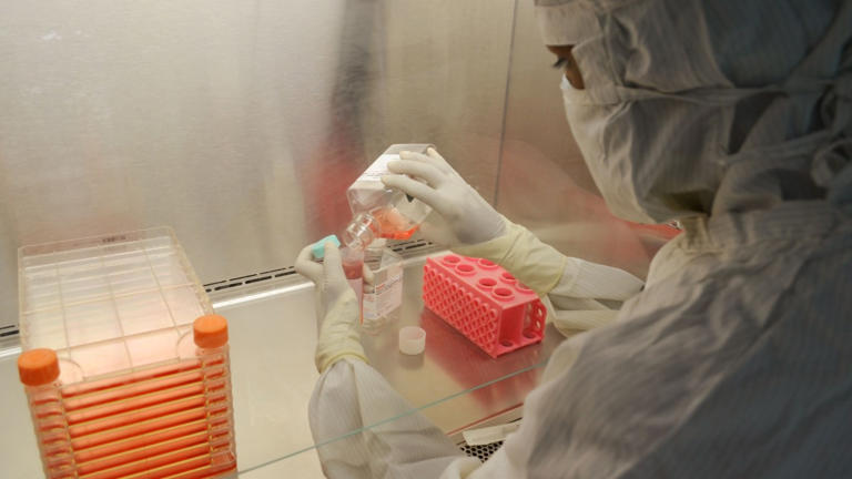 Scientists figured out why some DNA-doubled cells refuse to die ...