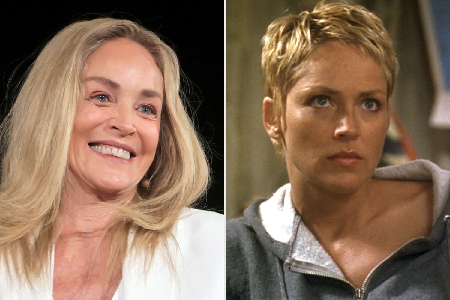 Sharon Stone says her deep sea rescue diving license came in handy on ...
