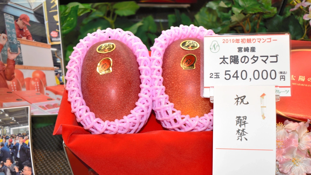 Indian farmers successfully grow Japan’s Rs 2.5 lakh Miyazaki mango