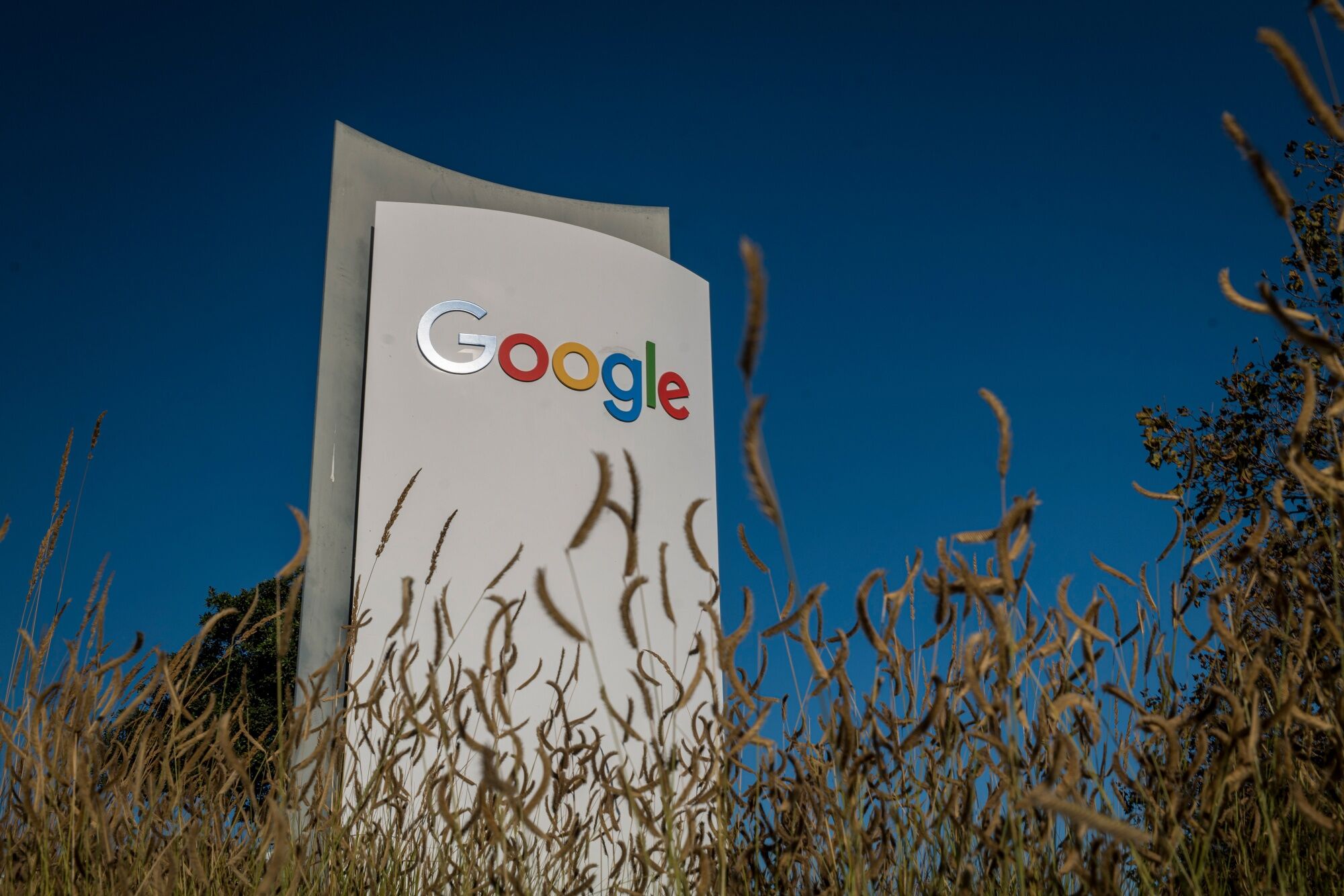SpaceX inks $30 billion computing power deal with Google