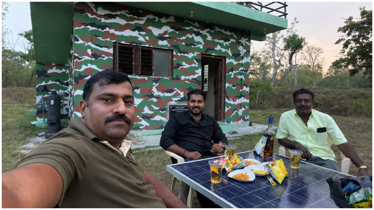 Bandipur Forest: Three booked for allegedly holding party inside camp ...