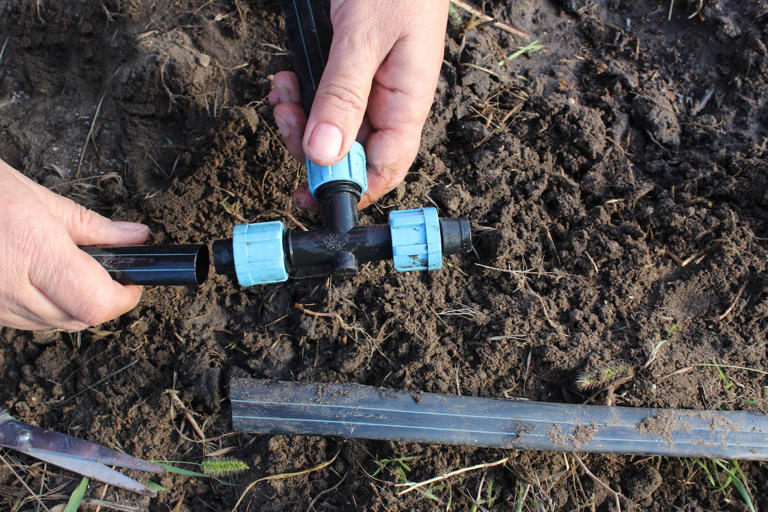 How I Installed My Own Drip Irrigation System (and Stopped Rodents From ...