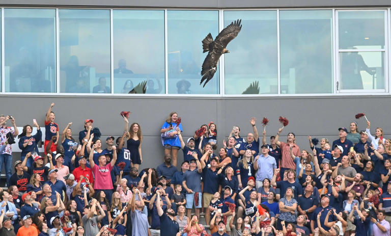 Auburn to do an eagle flight ahead of international soccer friendly in ...