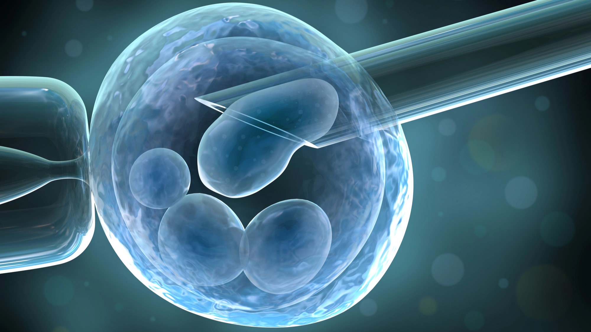 Scientists precisely edit human embryo genes – could prevent disease ...
