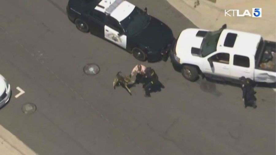 K-9 officer takes down carjacking suspect after wild SoCal chase