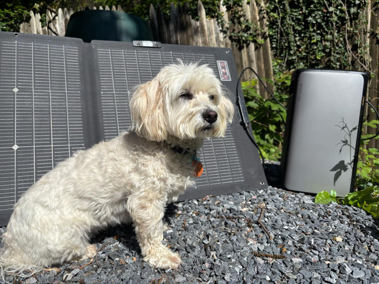 A cheap DIY solar hack is catching on. Can it cut your energy bill?