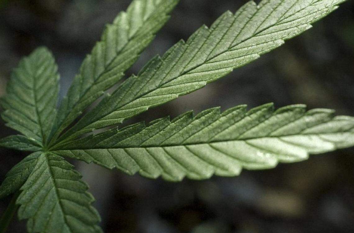 Can you fly with medical marijuana in Texas? What TSA's policy actually ...
