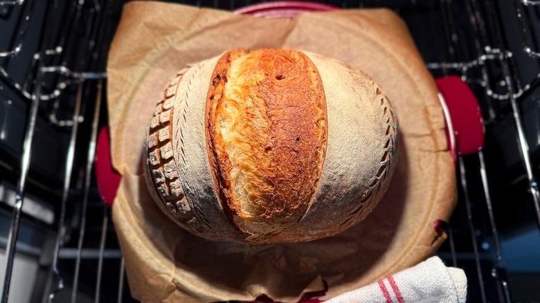 Ötzi the 5,300-year-old iceman helped scientists bake sourdough (with ...