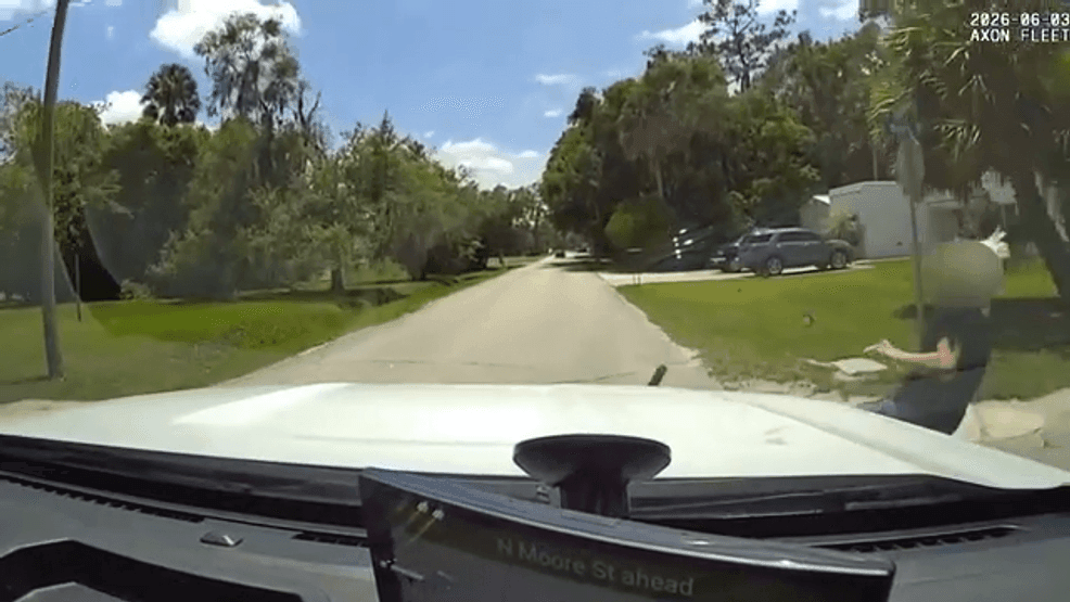 Watch: Florida teen on e-scooter slams into deputy's patrol car after ...