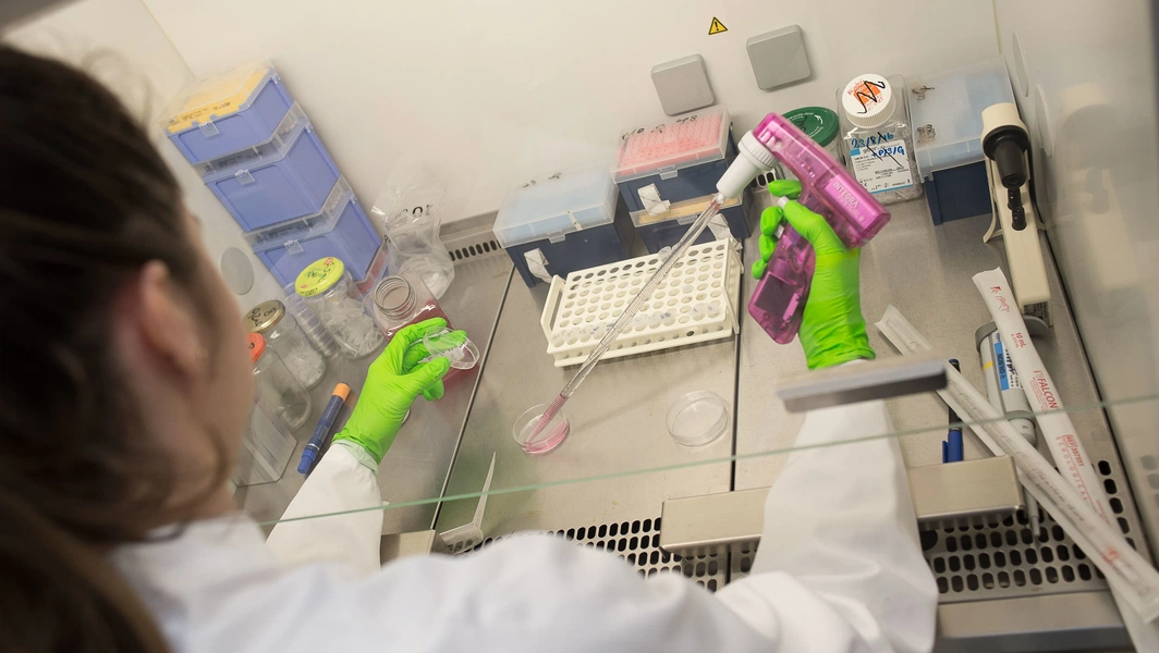 Experts warn of rising fatty liver disease and cancer risks