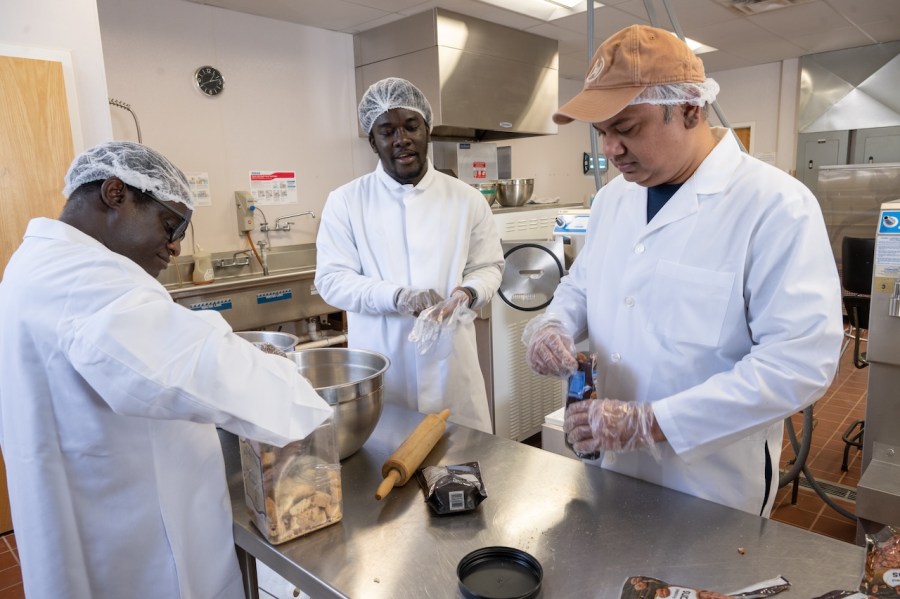 NMSU lab helps sweeten deal for ice cream producers