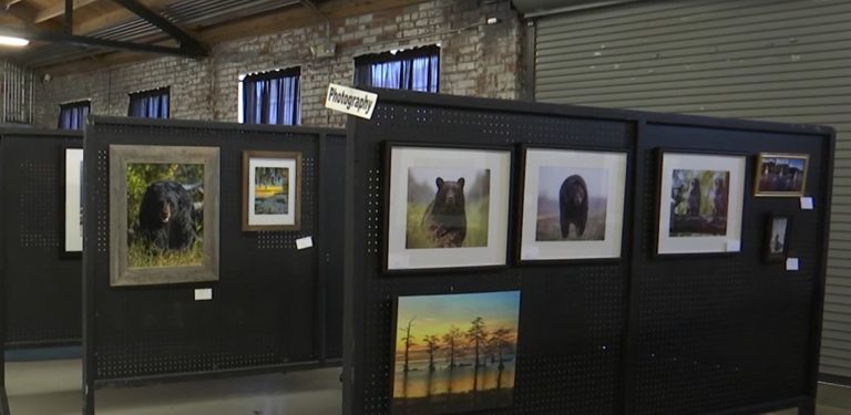 Black Bear Festival kicks off with art, river fun