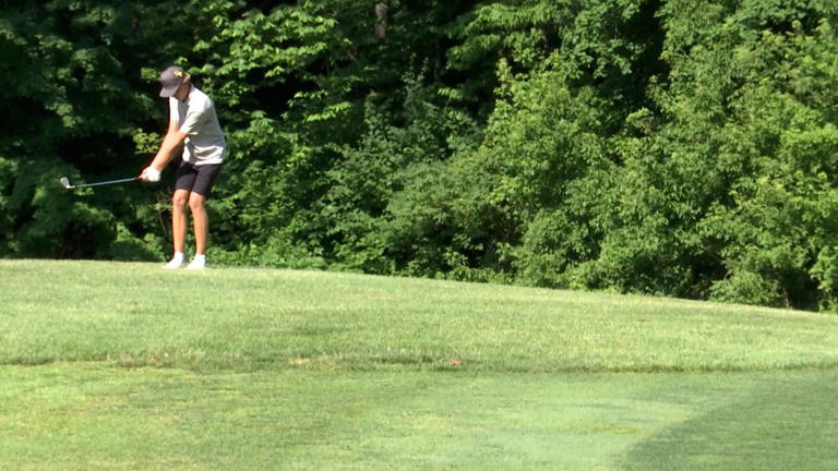 Barr-Reeve wins first-ever boys golf sectional