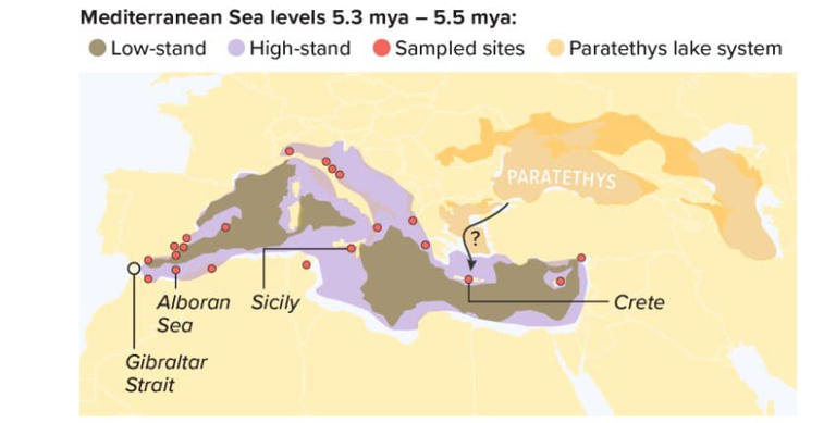 Scientists found evidence the Mediterranean Sea completely dried out ...