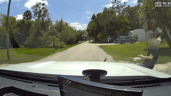 Watch: Florida teen on e-scooter slams into deputy's patrol car after ...
