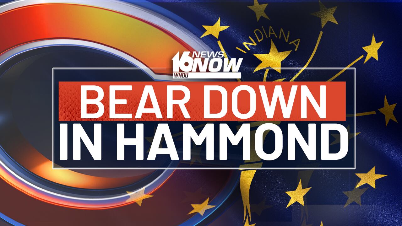 Indiana residents, fans share excitement as Chicago Bears edge closer ...