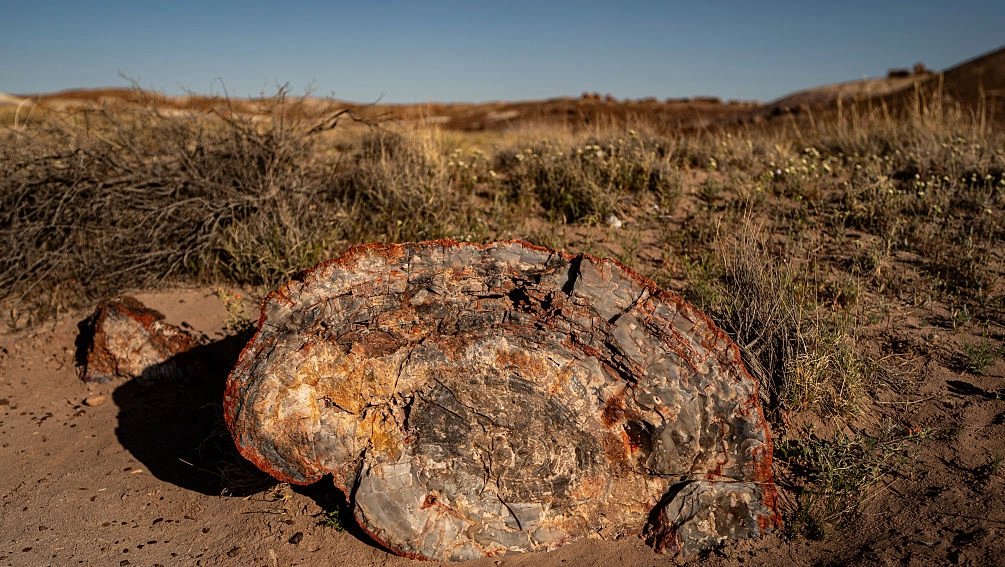 Exploring the magic of Petrified Forest National Park
