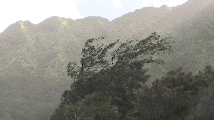 Breezy trades locally, tropical activity builds east Pacific