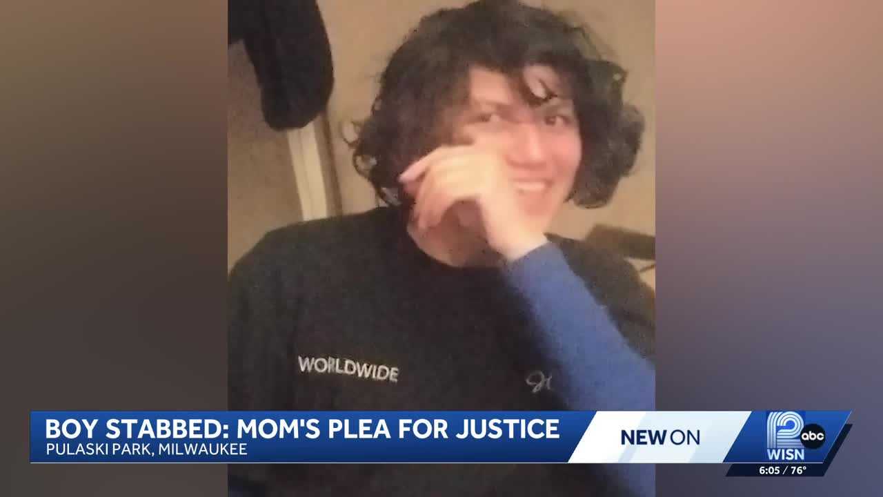 Milwaukee mom seeks justice for son stabbed in Pulaski Park