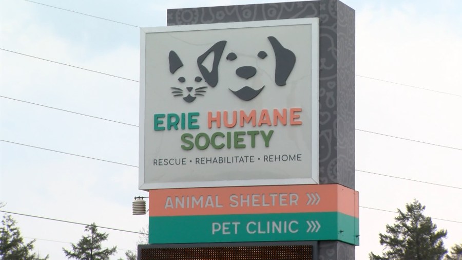 Erie Humane Society announces executive director stepping down