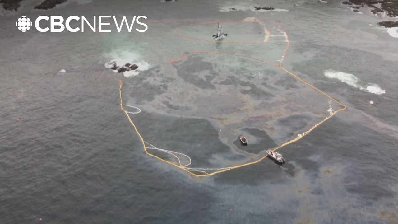 Heiltsuk Nation reaches settlement with company involved in 2016 ...