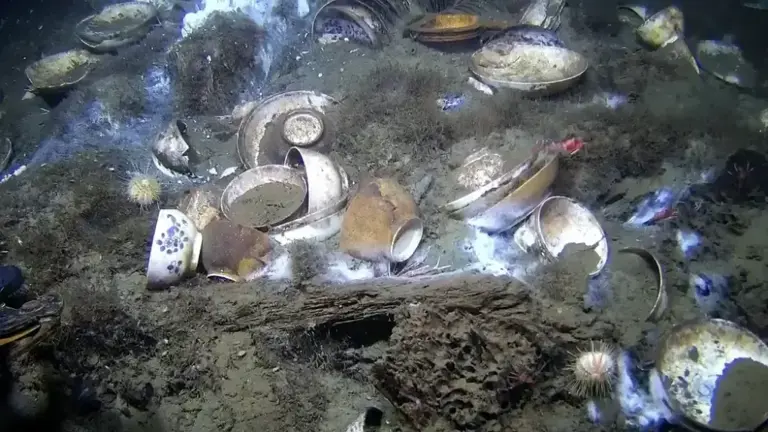 A shipwreck 'almost beyond belief' stunned archaeologists in Norway ...